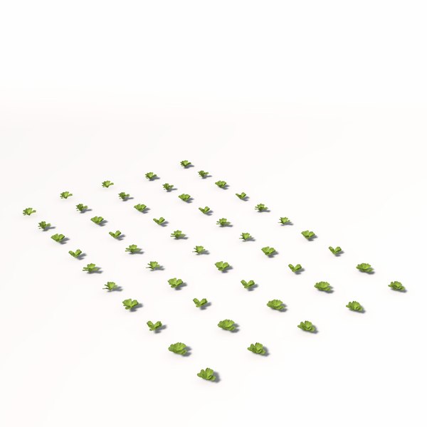 lettuce plant 3d model