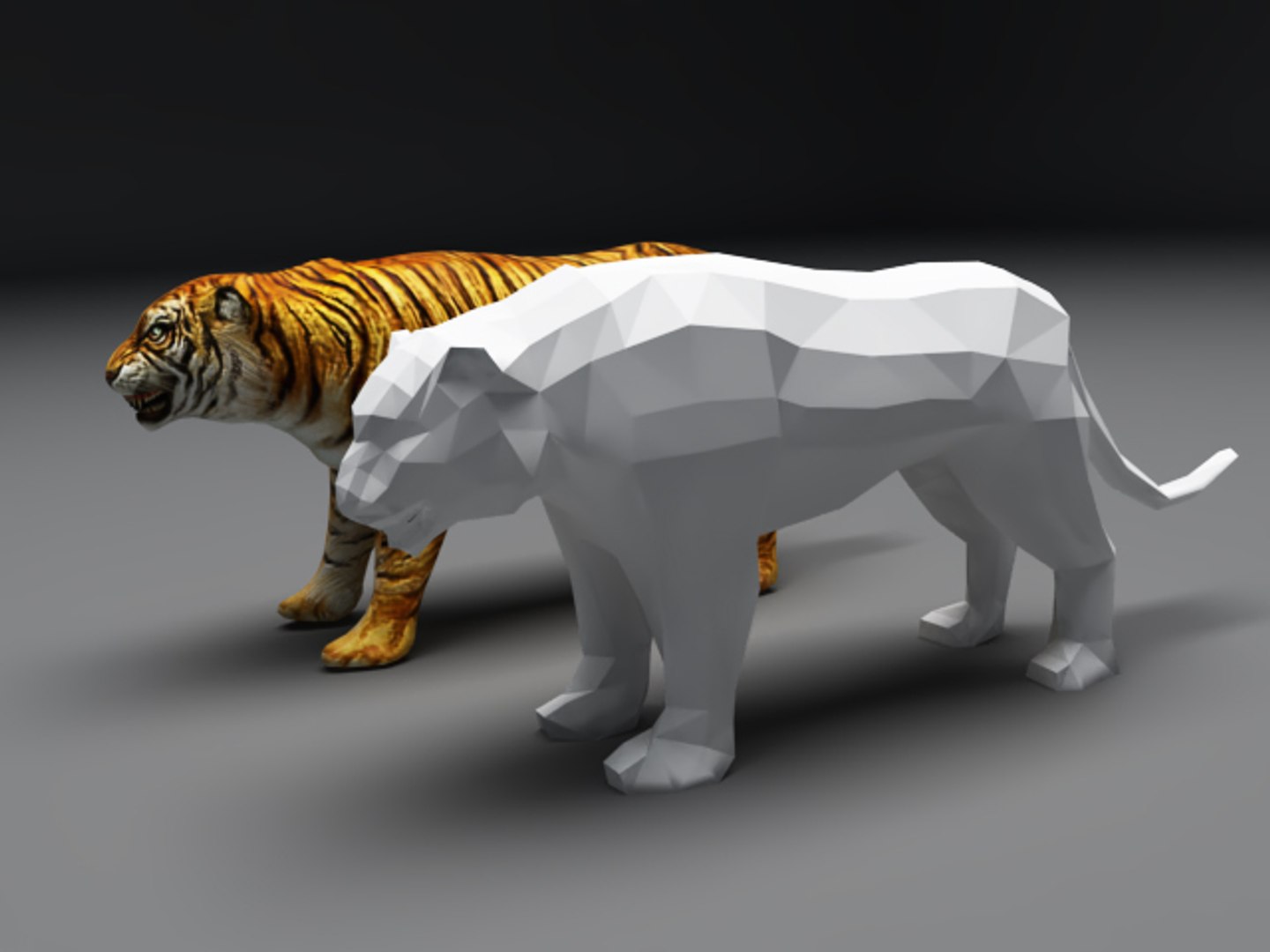 3D Model Tiger - TurboSquid 1409823