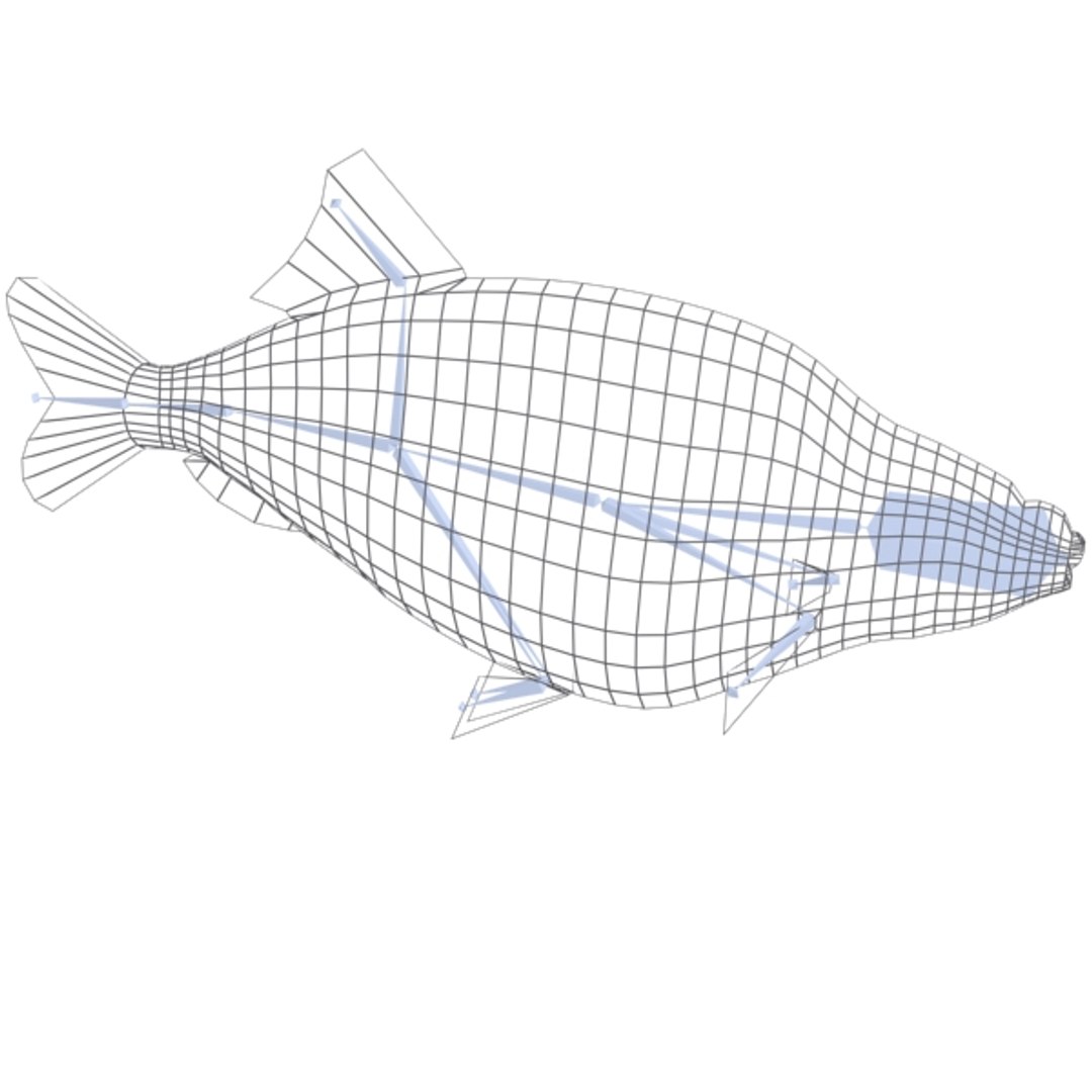 3d bream mesh bones model