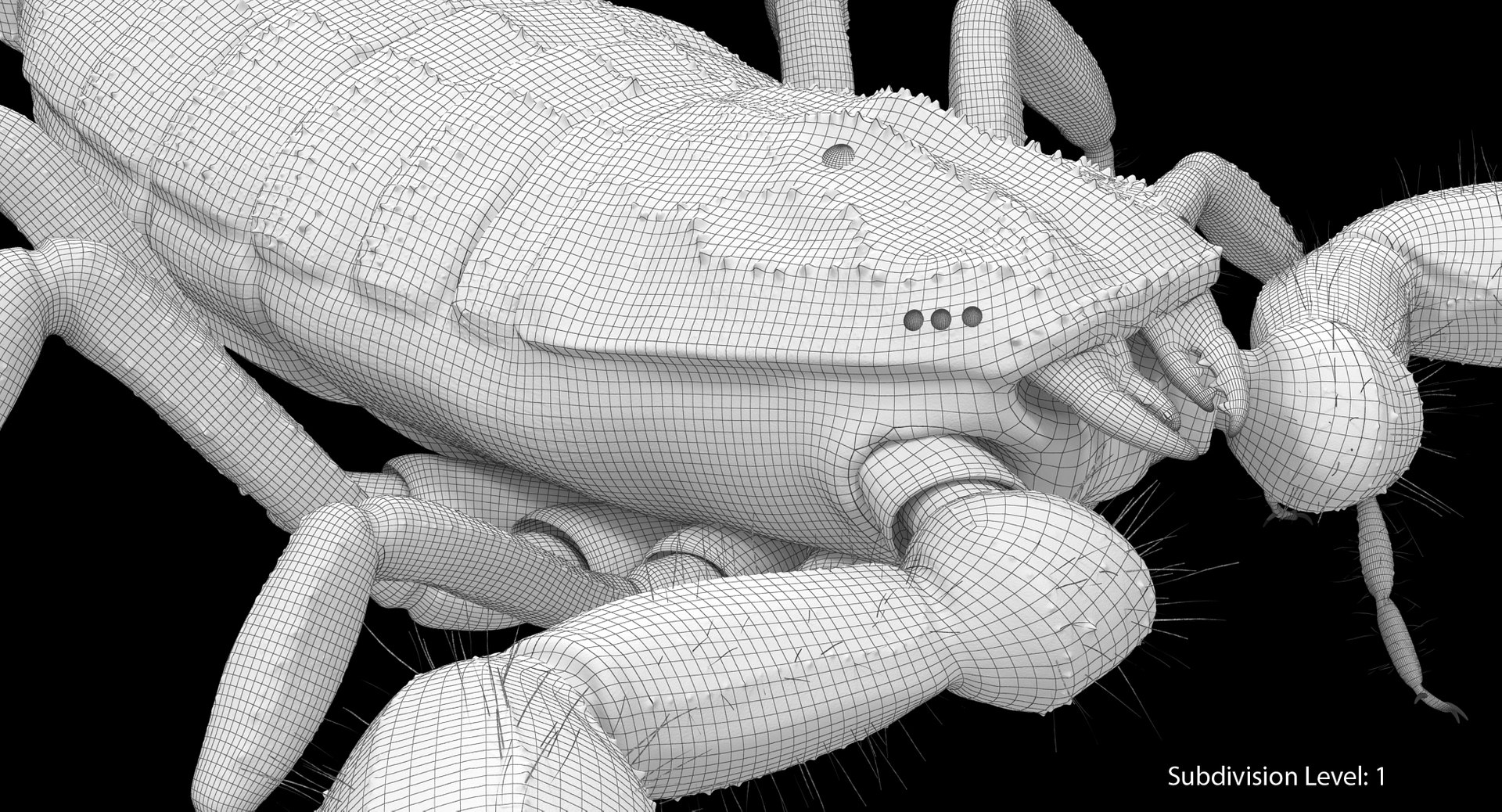 3d model scorpion modeled brown