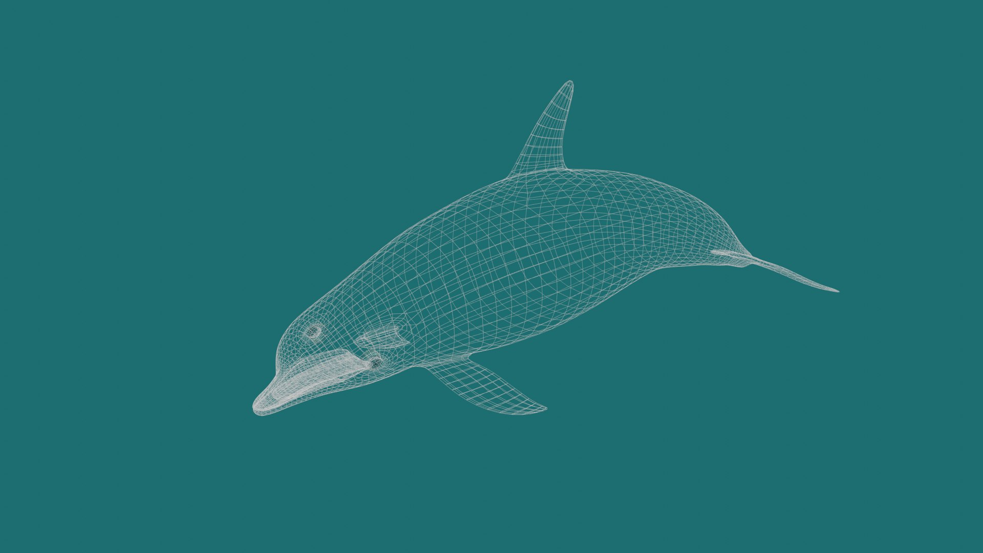 3D Dolphin - Low-poly Rigged - TurboSquid 2047526