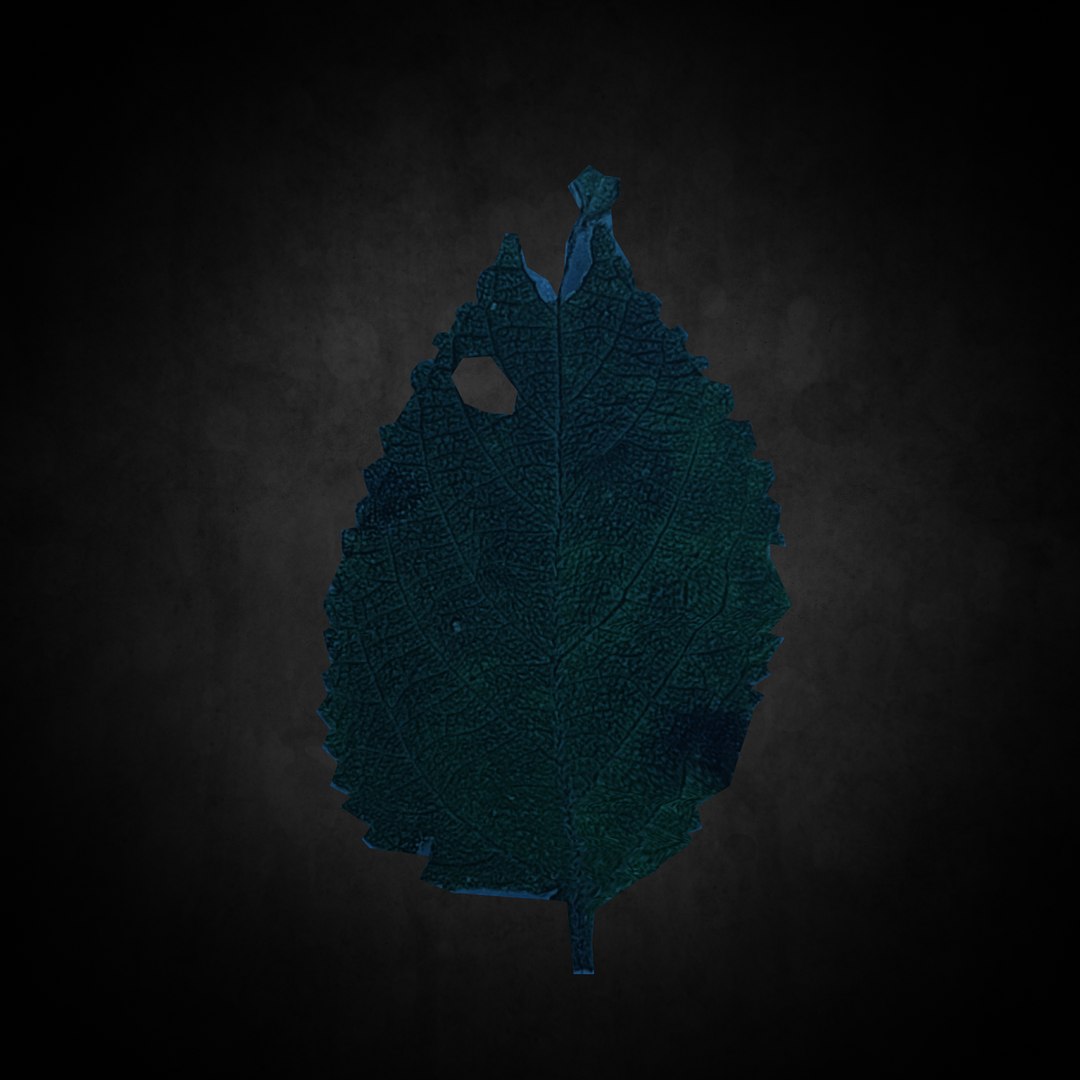 Low Poly Leaf 024 3D Model - TurboSquid 1852144