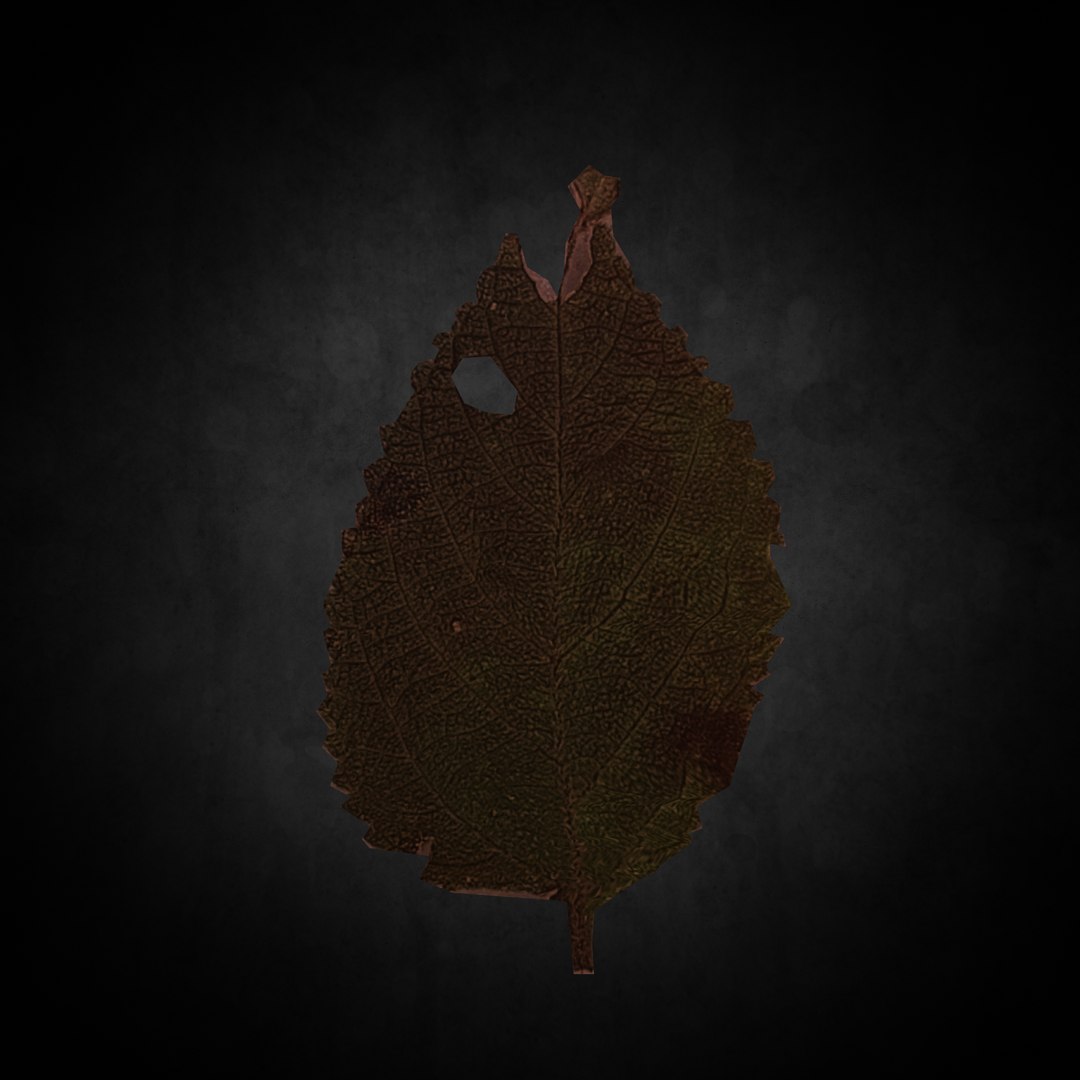 Low Poly Leaf 024 3D Model - TurboSquid 1852144