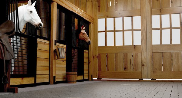 3D Stable Models | TurboSquid