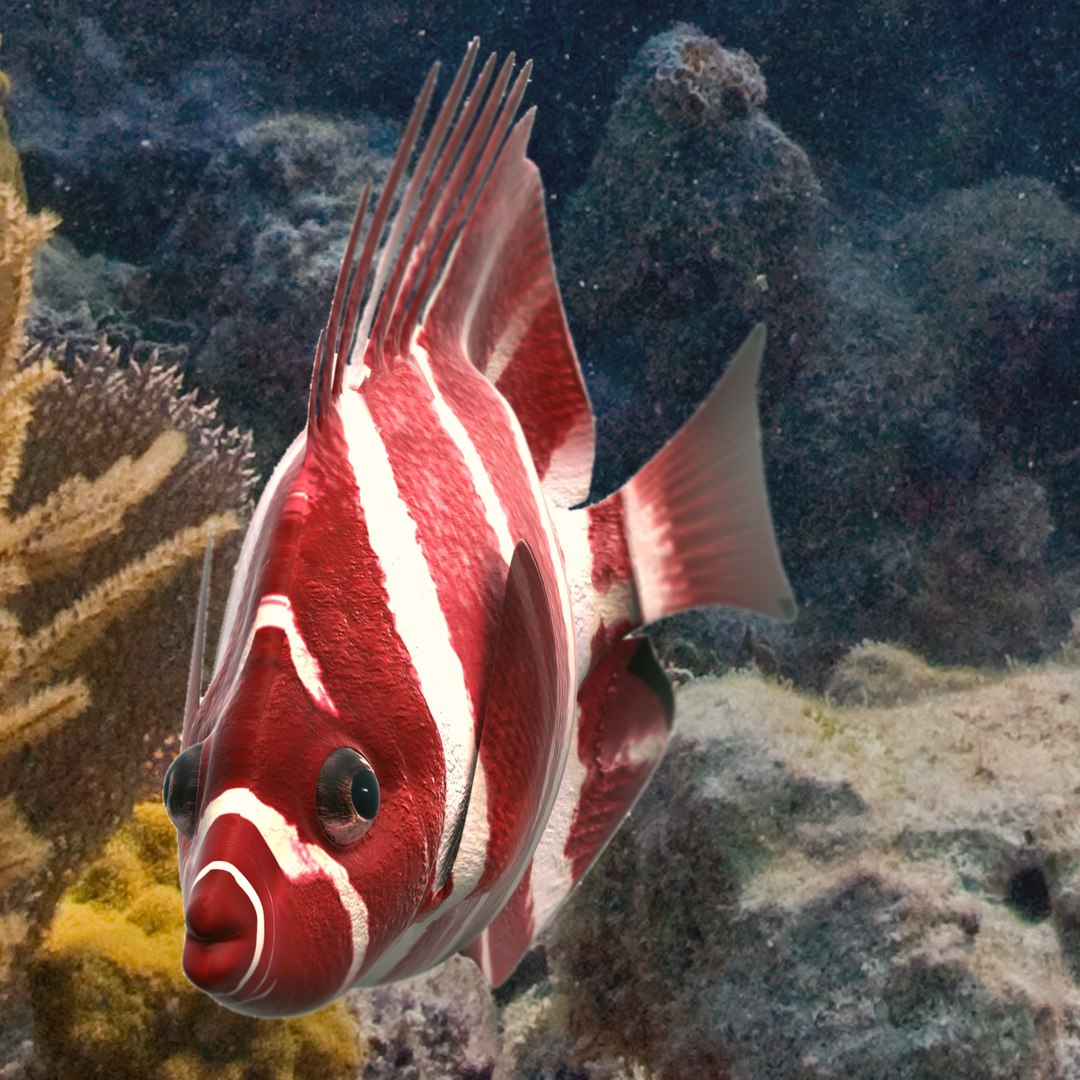 3ds Max Red Nose Fish