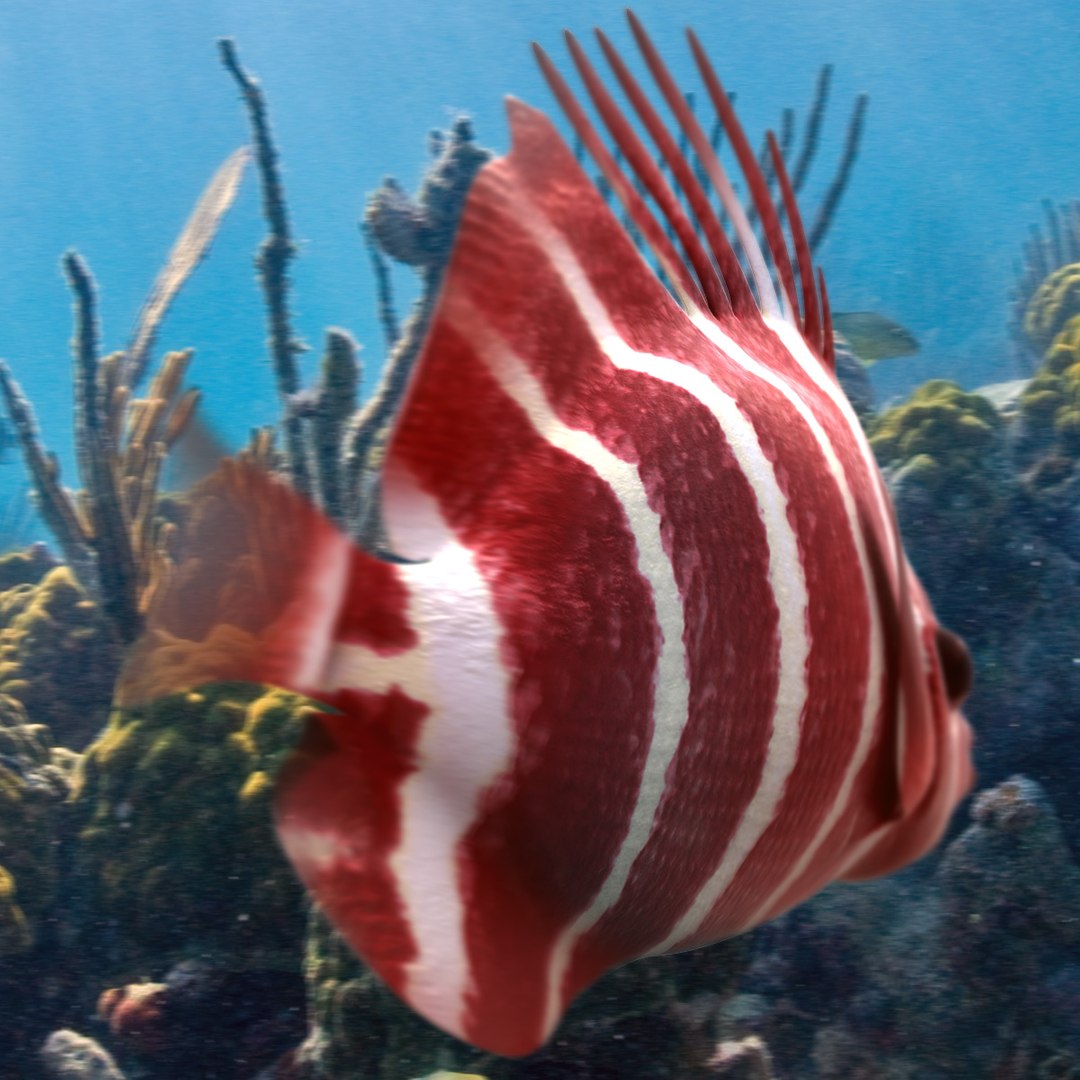 3ds Max Red Nose Fish