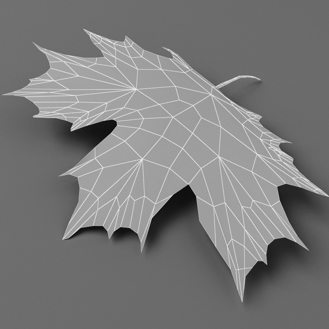maple leaves summer 3d model