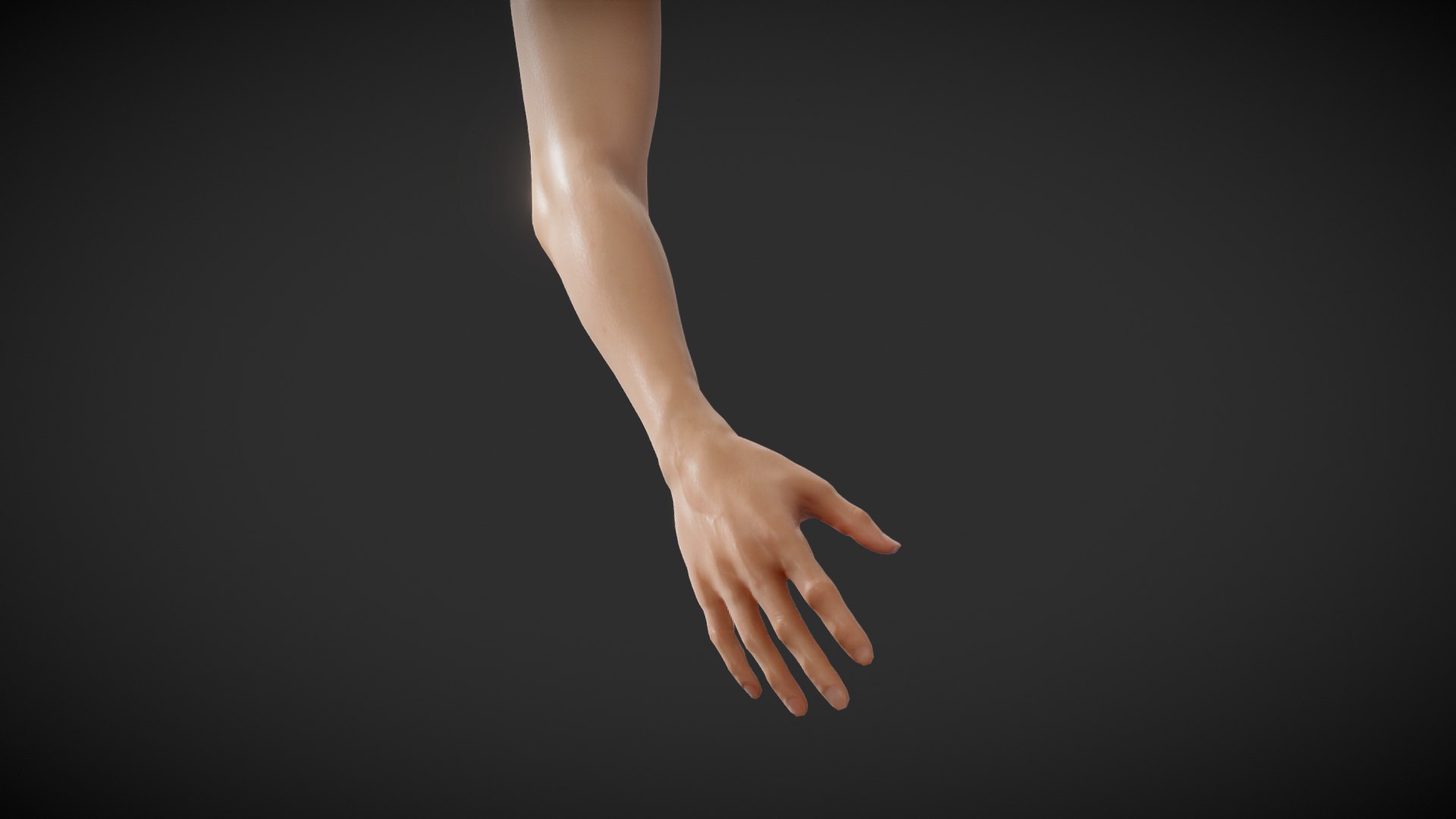 3D Fit Female Anatomy - Arm And Hand Base Mesh Model - TurboSquid 1853882