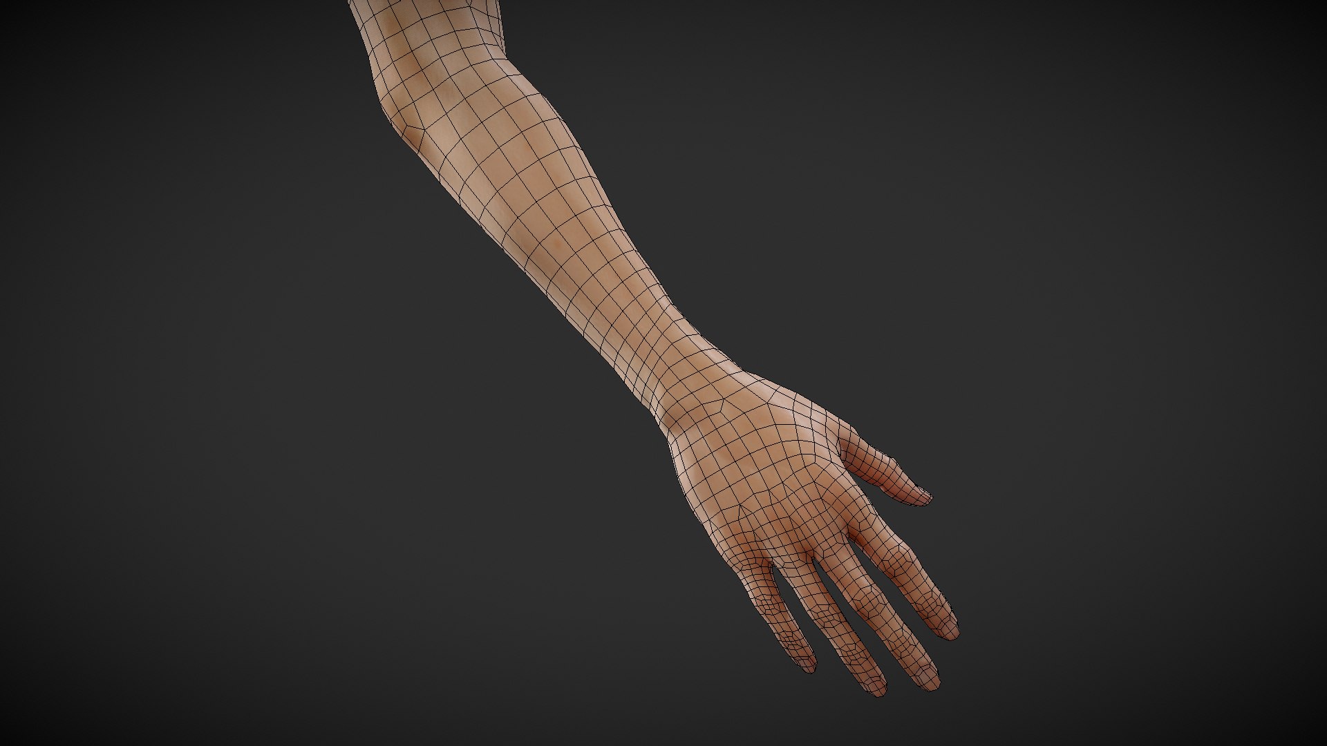 3D Fit Female Anatomy - Arm And Hand Base Mesh Model - TurboSquid 1853882