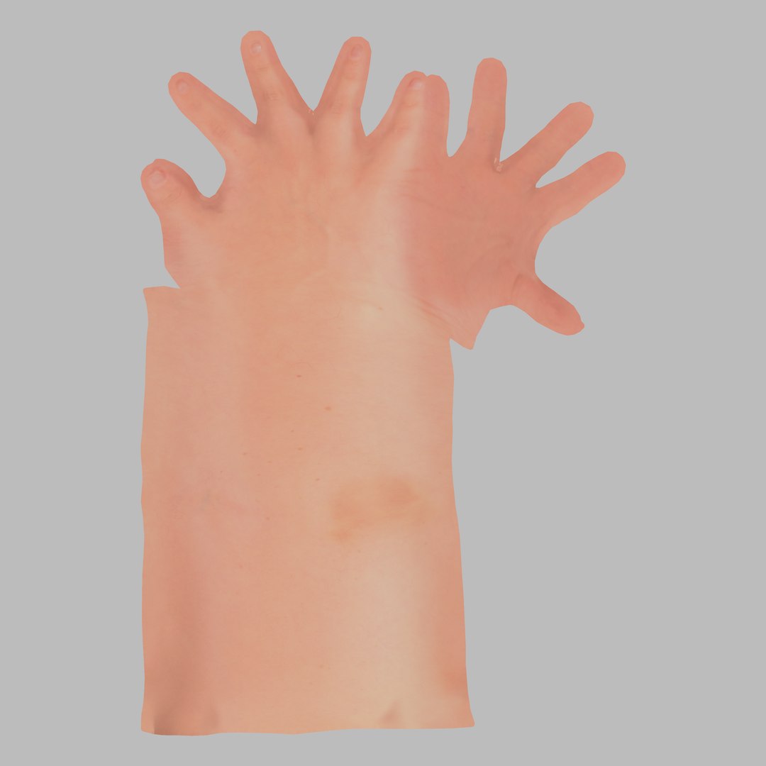 3D Fit Female Anatomy - Arm And Hand Base Mesh Model - TurboSquid 1853882