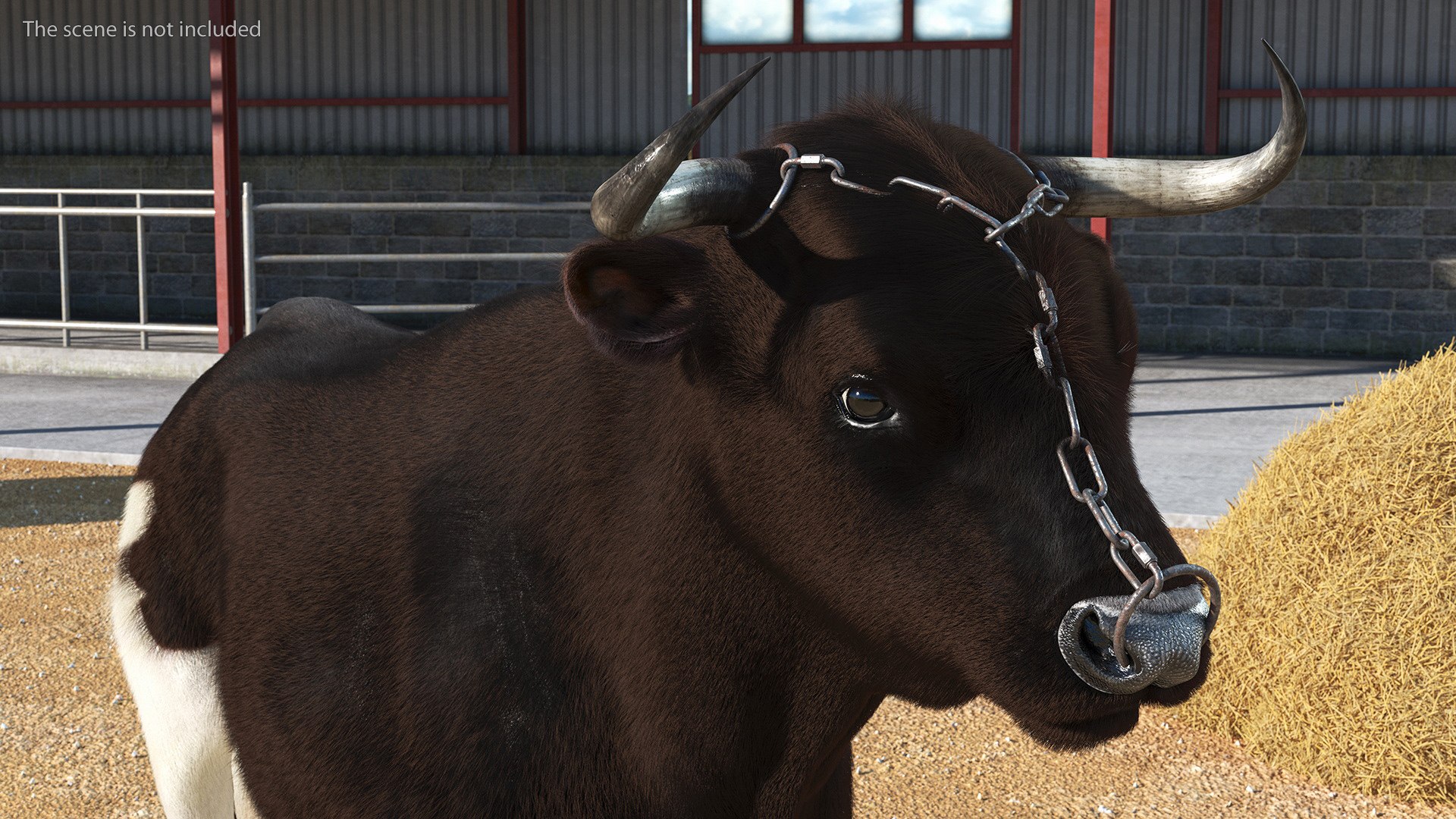 3D Model Chain For A Bull - TurboSquid 2167674