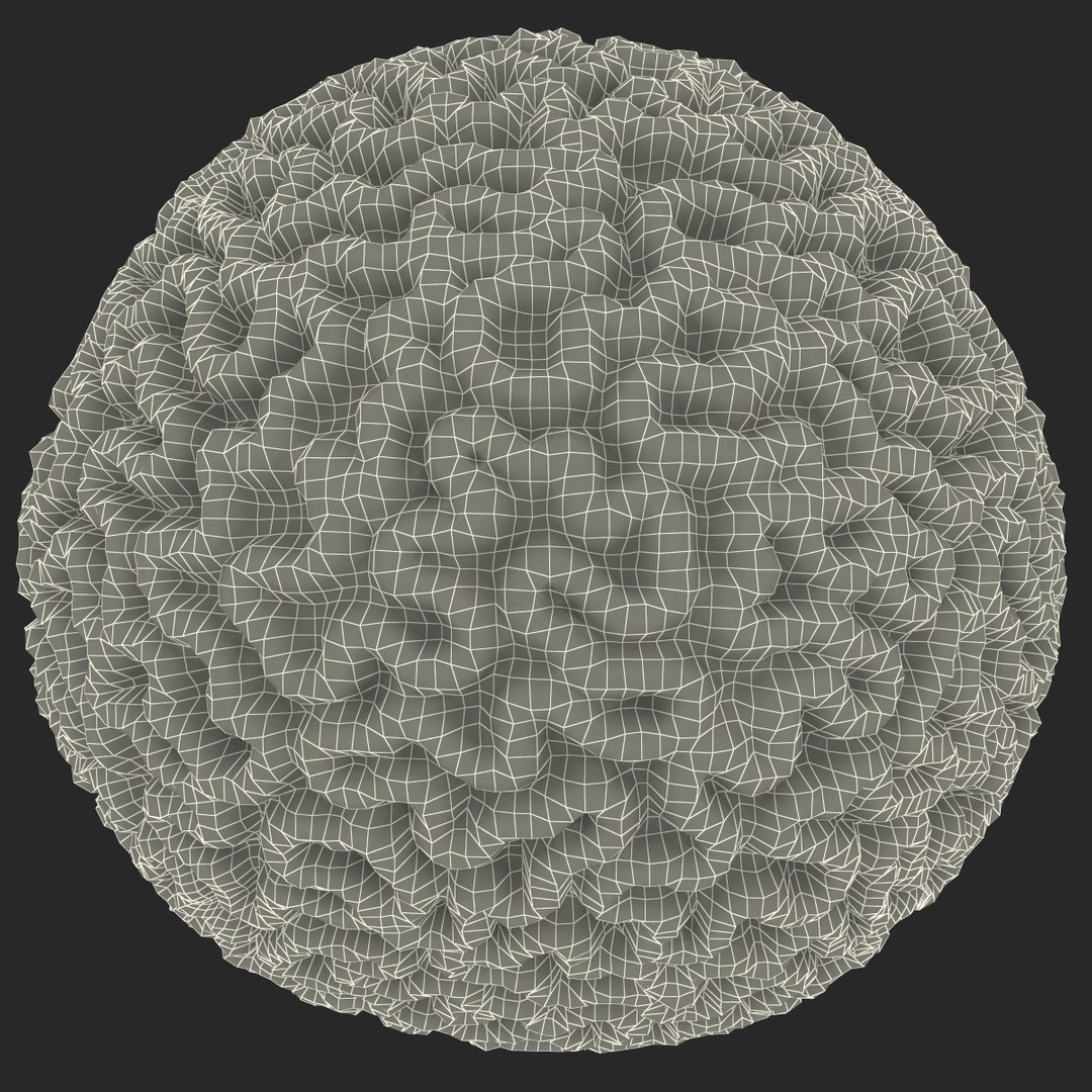 3d Brain Coral