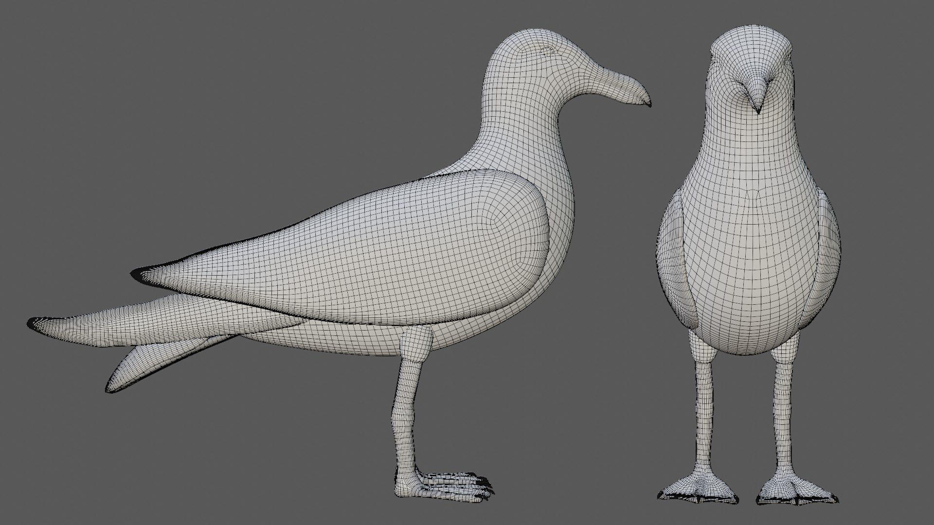 Seagull 3D Model - TurboSquid 1767044