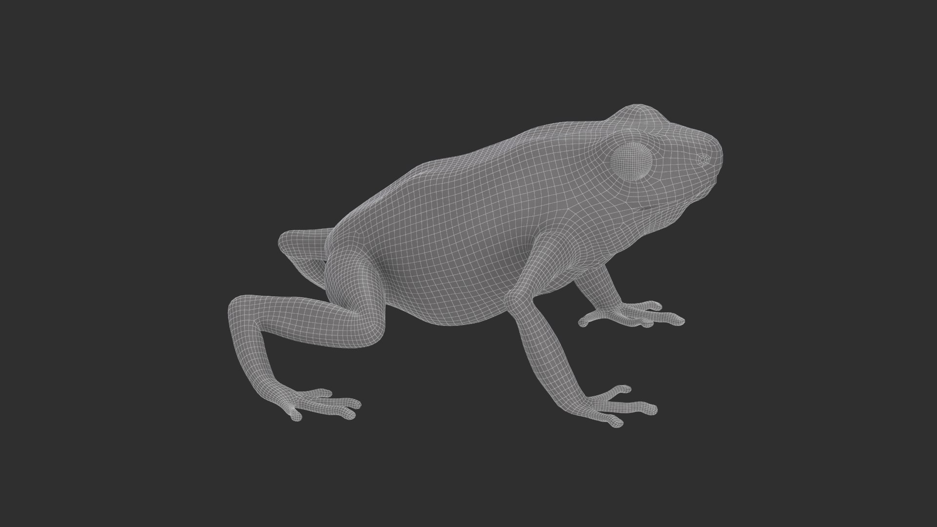 Golden Poison Dart Frog 3D Model - TurboSquid 2020918