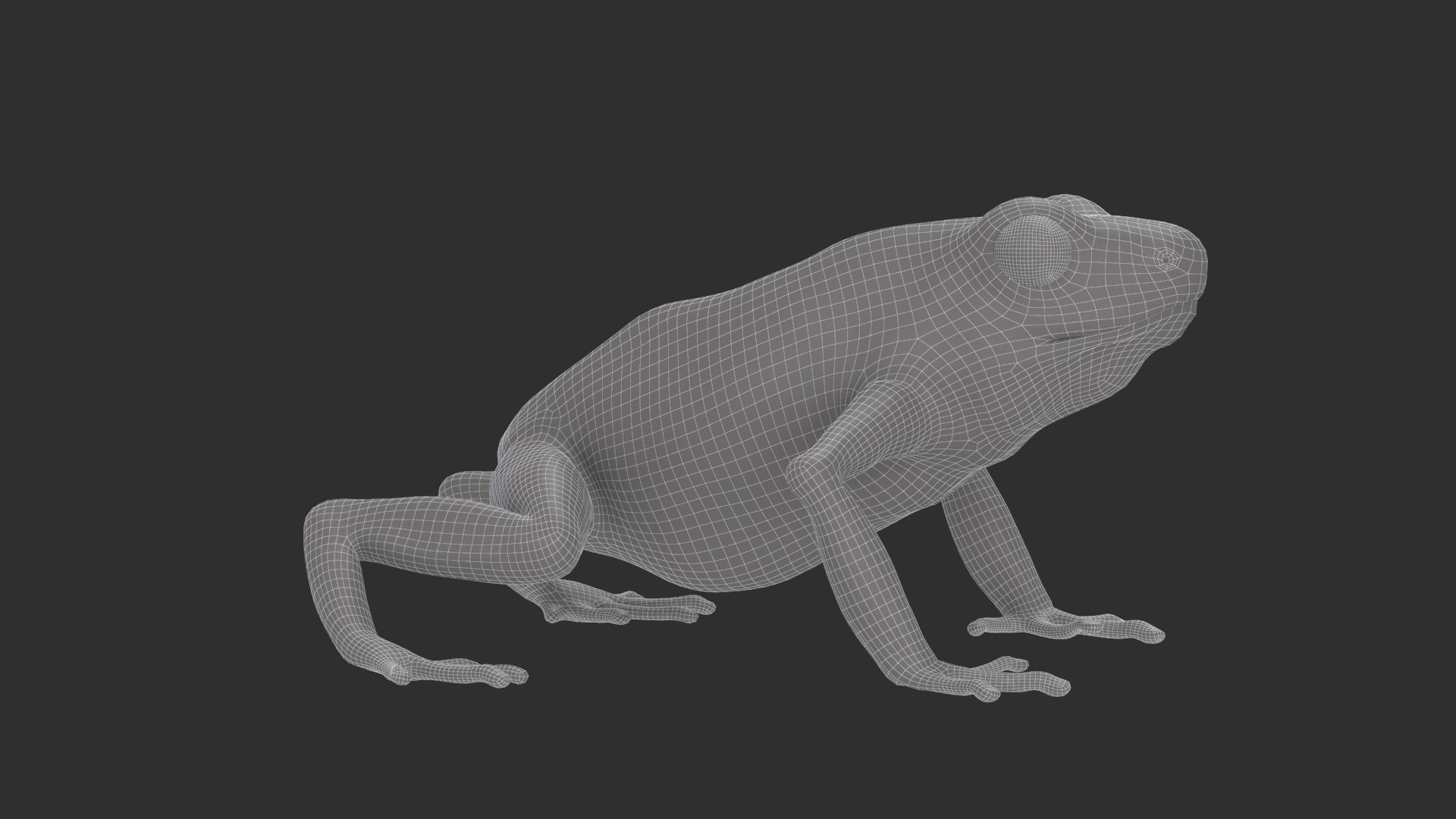 Golden Poison Dart Frog 3D Model - TurboSquid 2020918