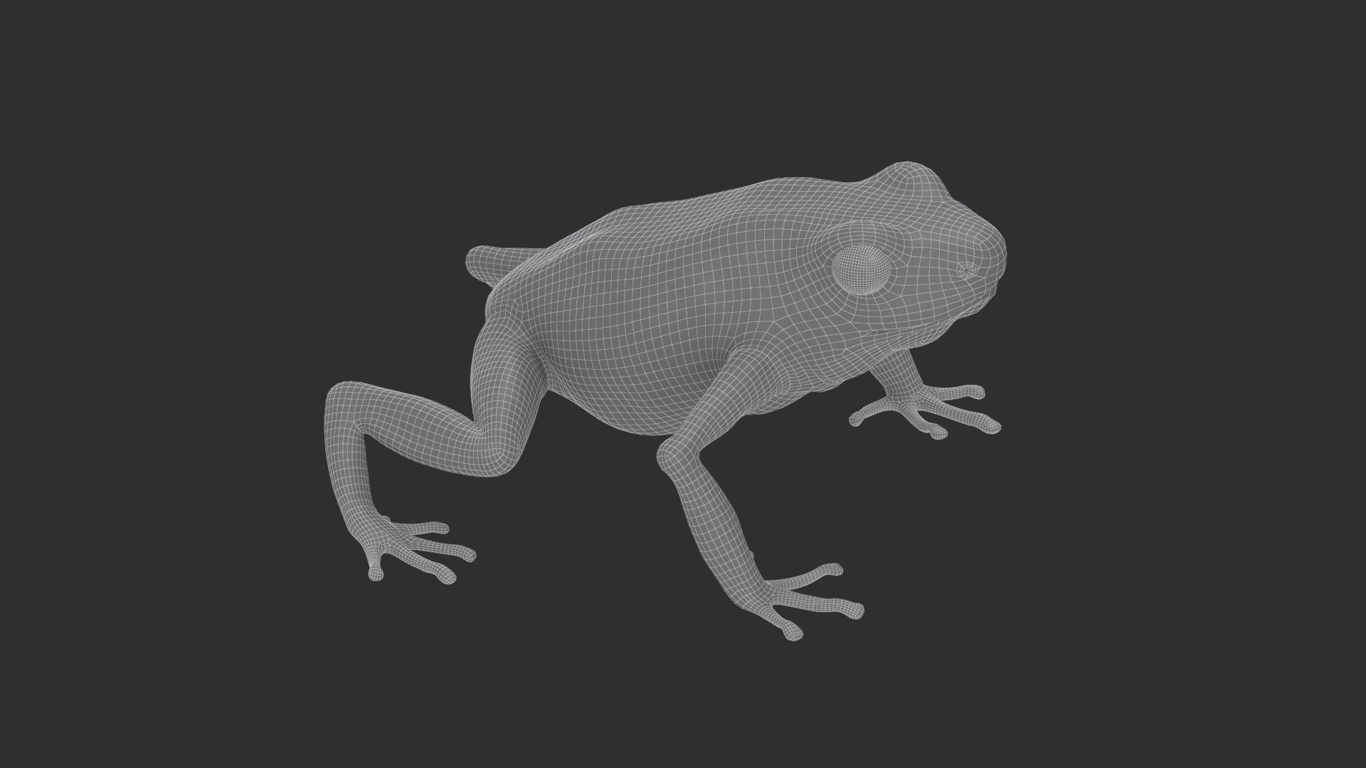 Golden Poison Dart Frog 3D Model - TurboSquid 2020918