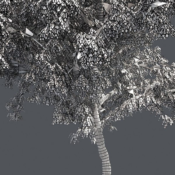 Tree 002 32 model - TurboSquid 1580072