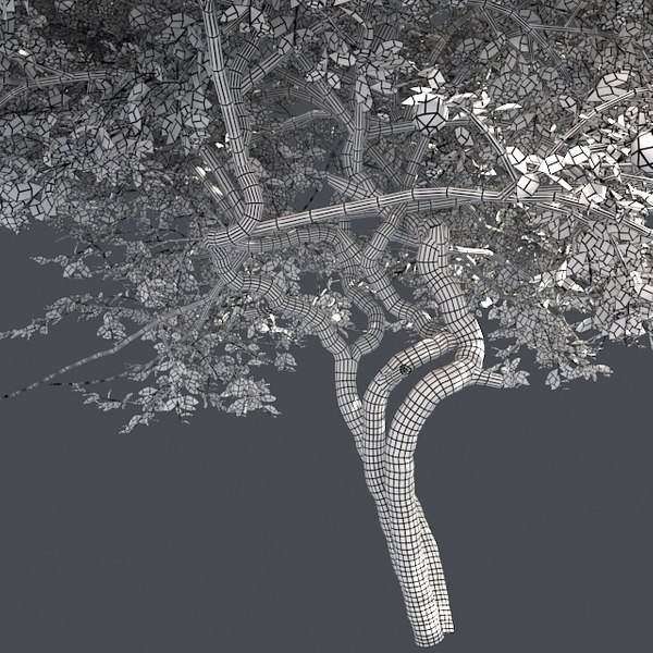 Tree 002 32 model - TurboSquid 1580072