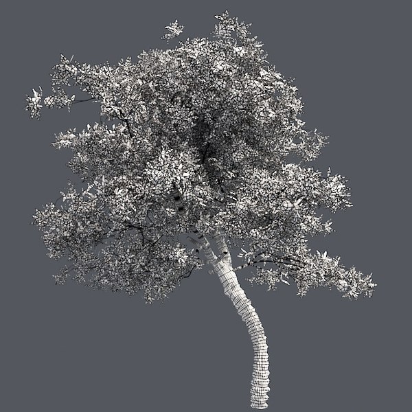 Tree 002 32 model - TurboSquid 1580072