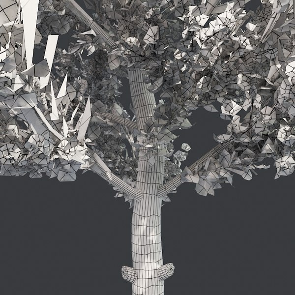 Tree 002 32 model - TurboSquid 1580072