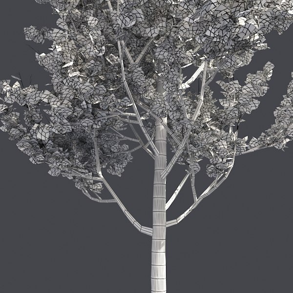 Tree 002 32 model - TurboSquid 1580072