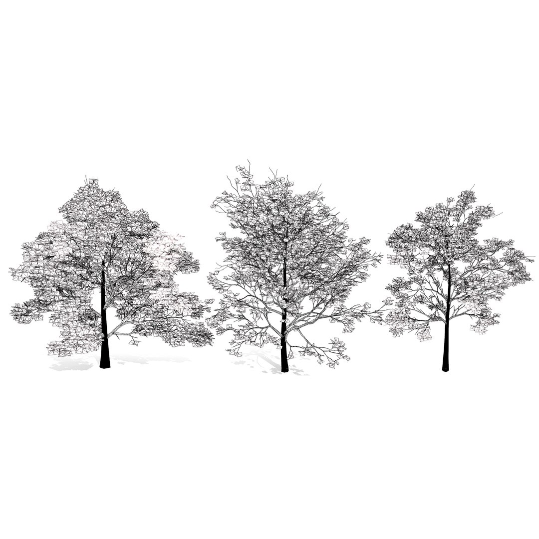 Realistic Plane Tree For Your Scenes 3D Model - TurboSquid 2267883