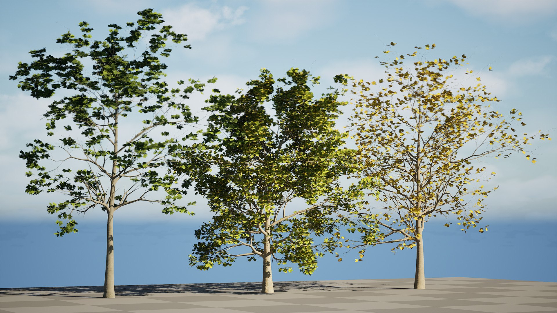 Realistic Plane Tree For Your Scenes 3D Model - TurboSquid 2267883