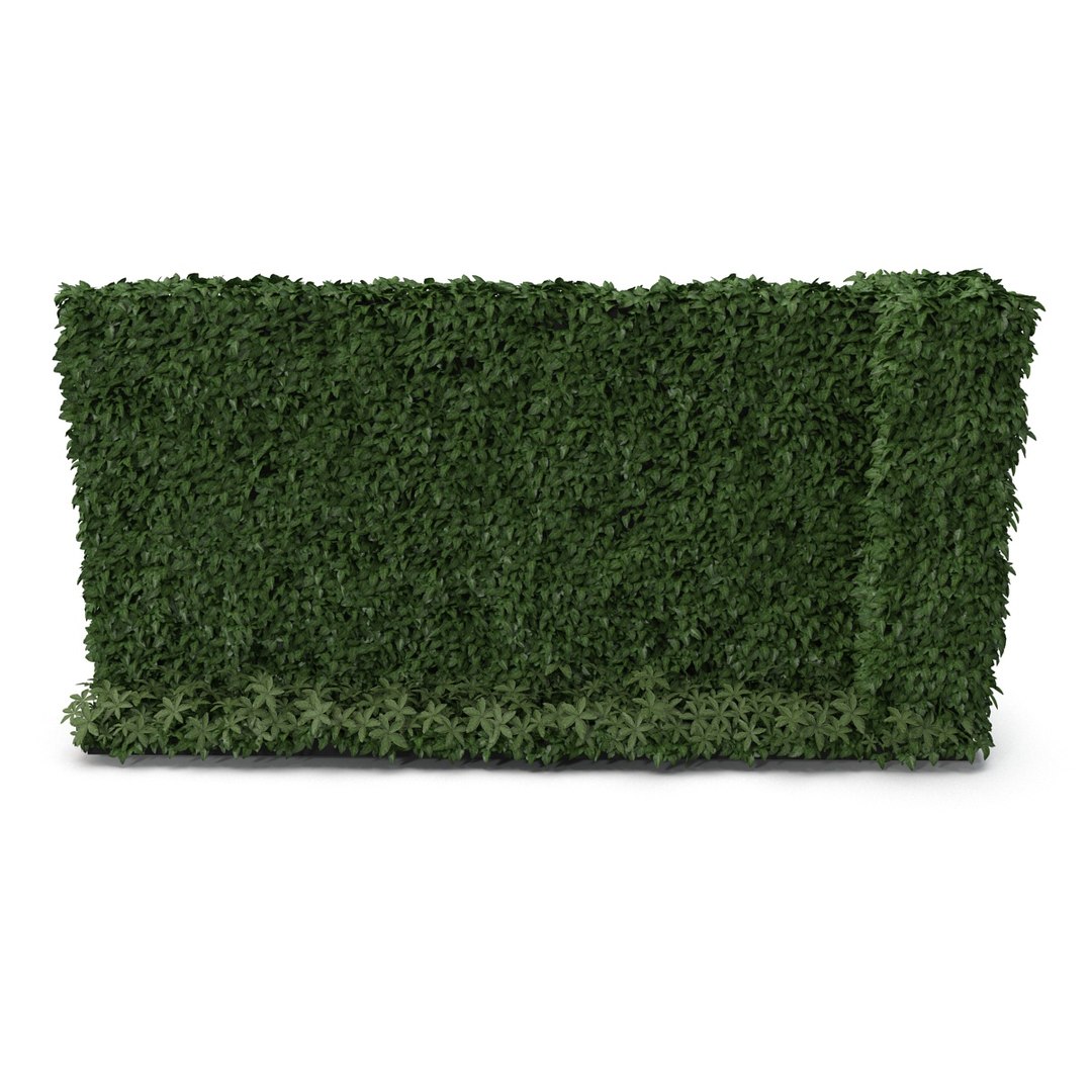 Green Ivy Wall 3d C4d