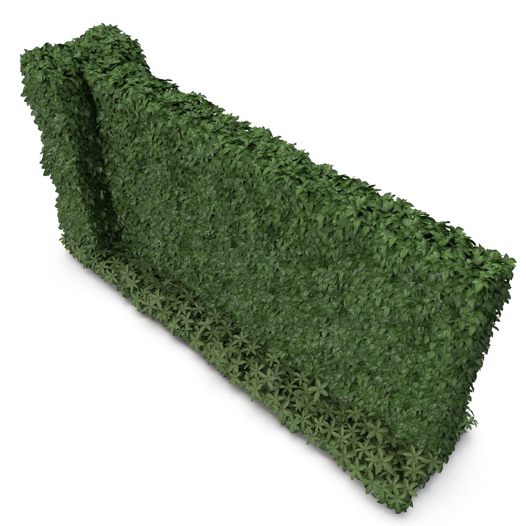 Green Ivy Wall 3d C4d