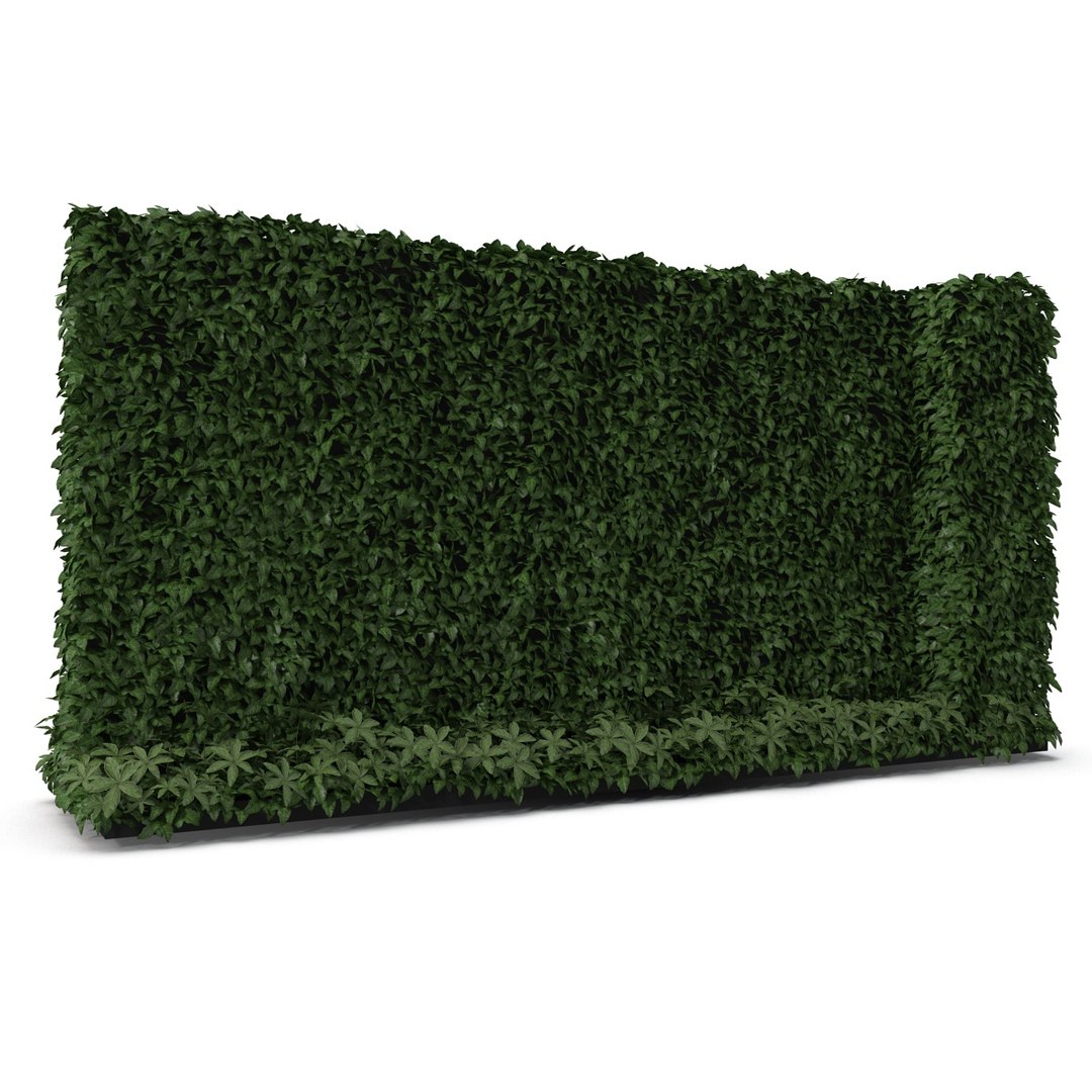 Green Ivy Wall 3d C4d