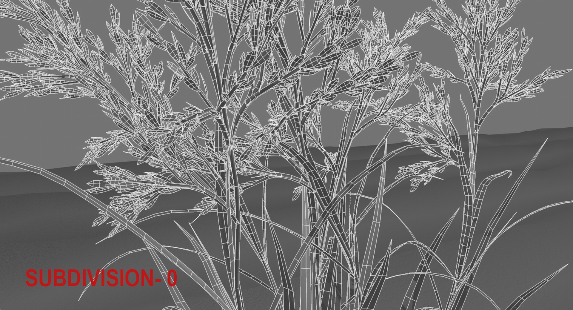 red tip grass flower 3ds