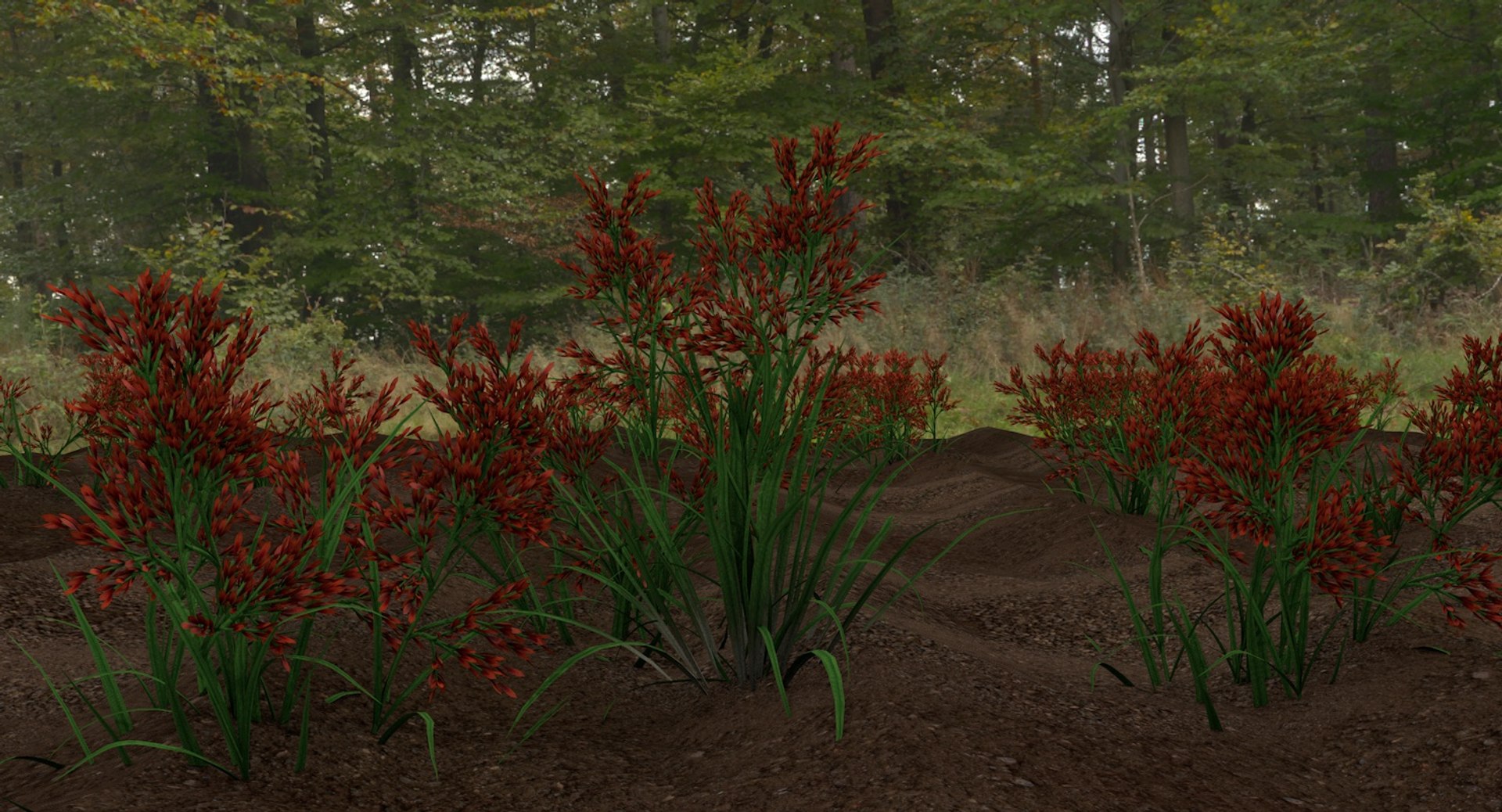 red tip grass flower 3ds