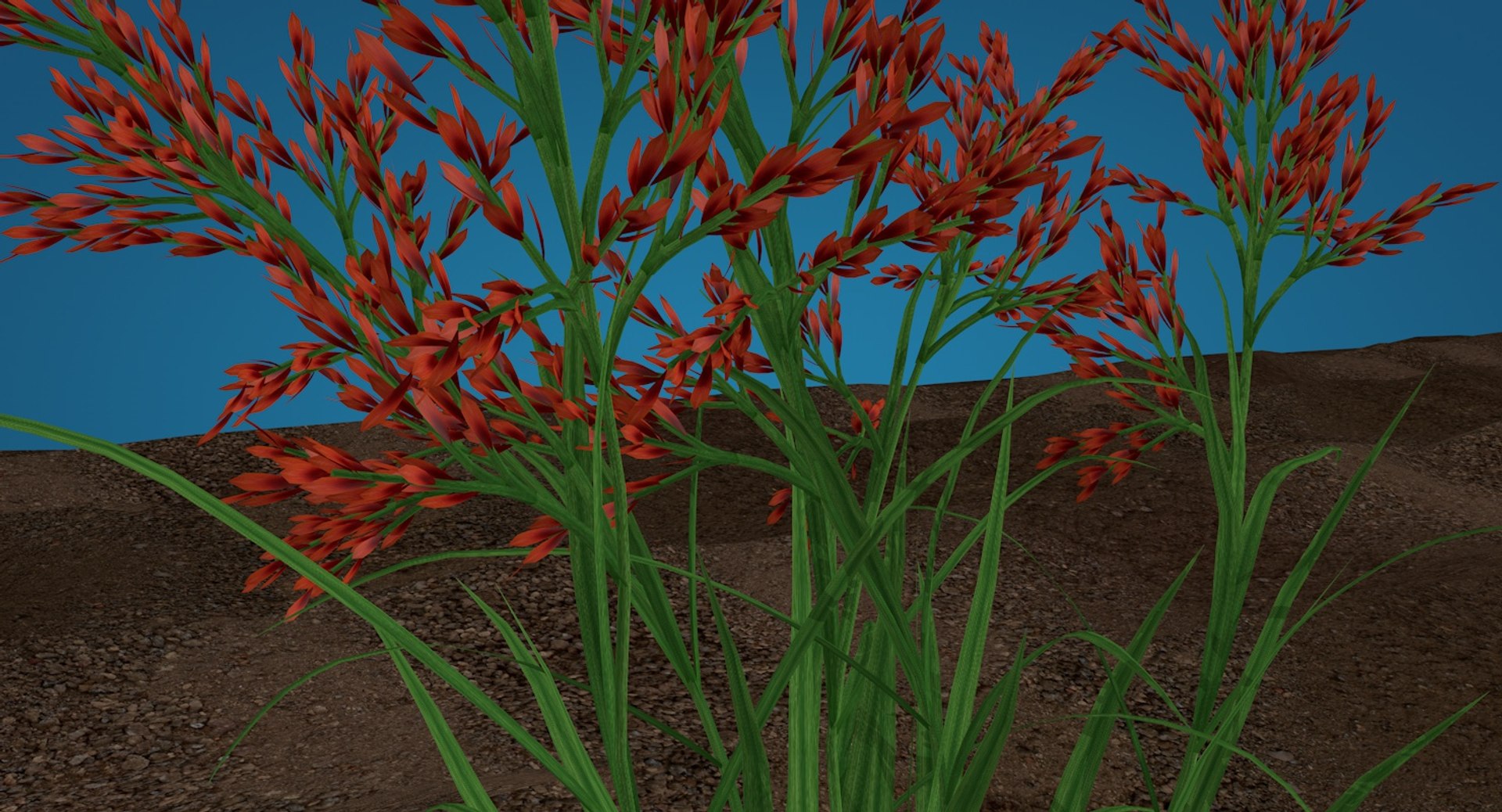 red tip grass flower 3ds