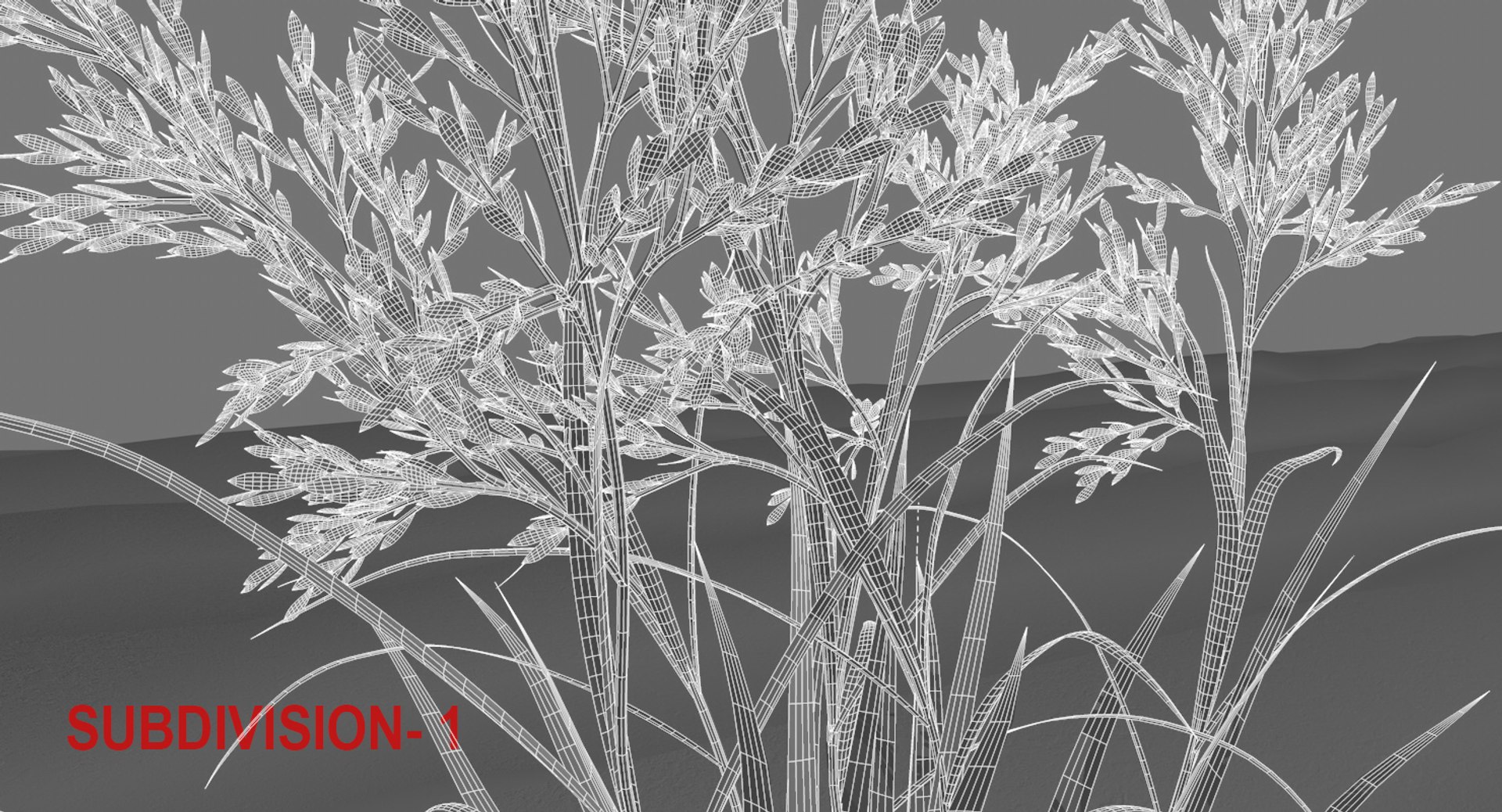 red tip grass flower 3ds