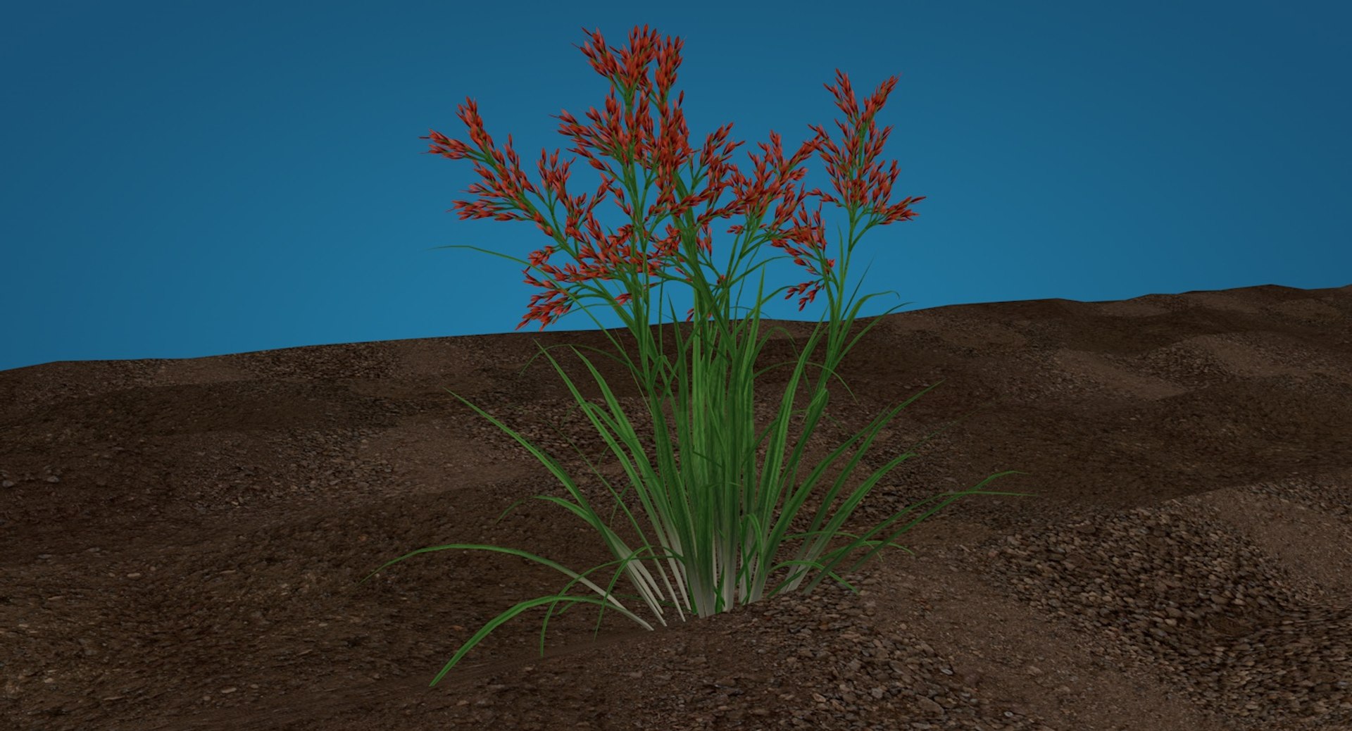 red tip grass flower 3ds