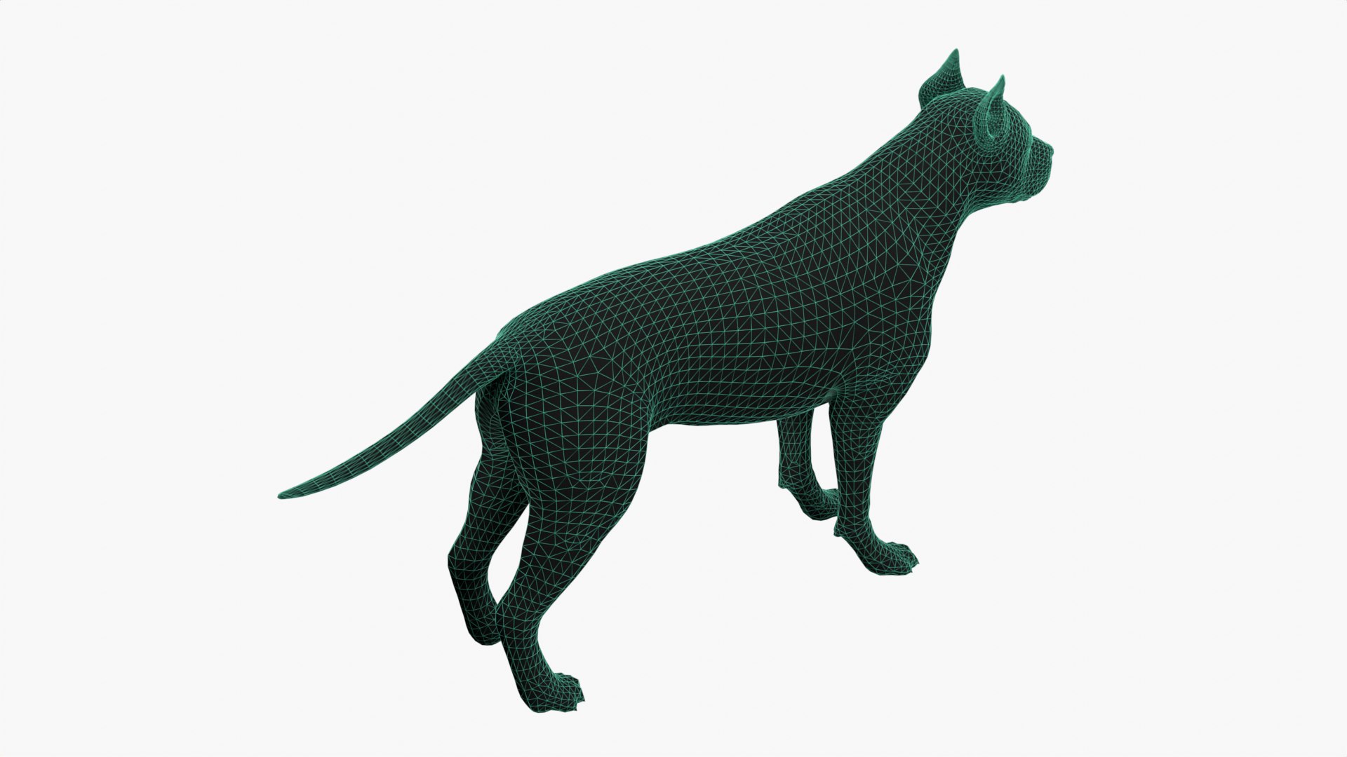 Pitbull 3D model - TurboSquid 2060258