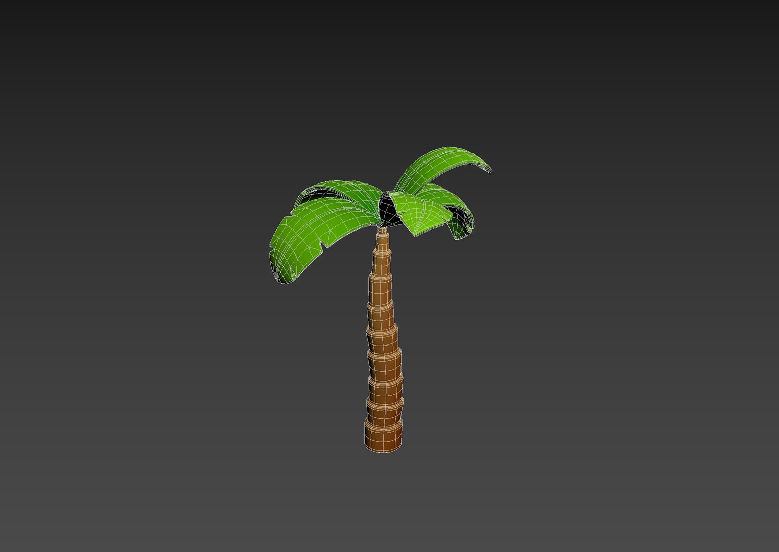 Cartoon Palm 002 3D Model - TurboSquid 1845172