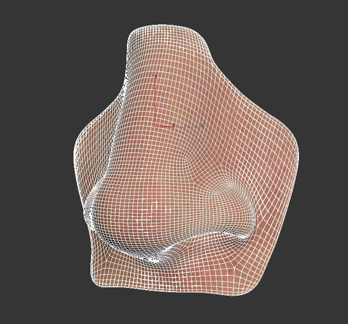Nose Anatomy Head 3D Model - TurboSquid 1502383