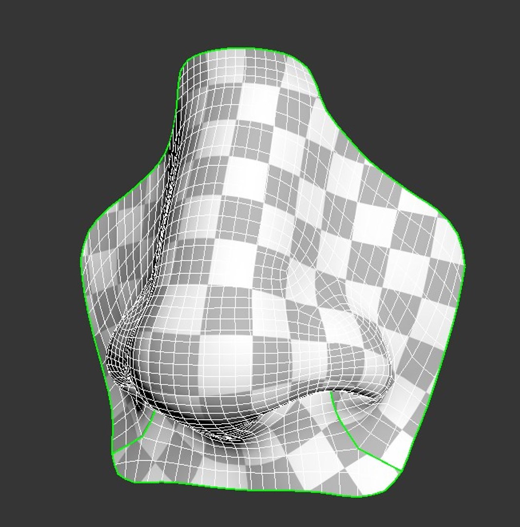 Nose Anatomy Head 3D Model - TurboSquid 1502383