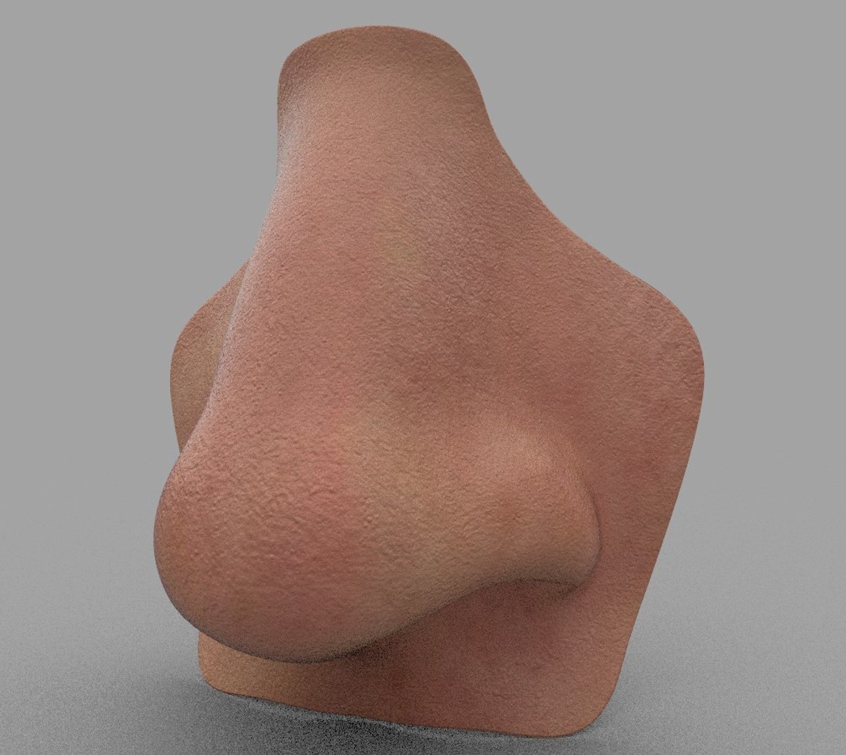 Nose Anatomy Head 3D Model - TurboSquid 1502383