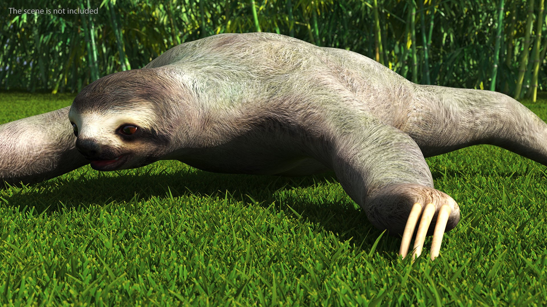 Sloth Rigged For Maya 3D Model - TurboSquid 2181716