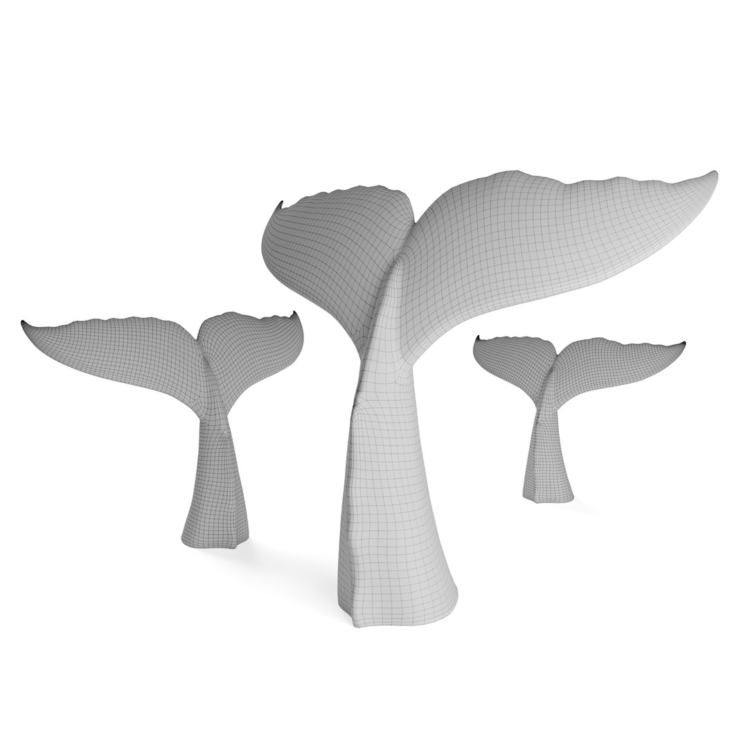 Whale Tail Sculpture 3D Model - TurboSquid 1945372