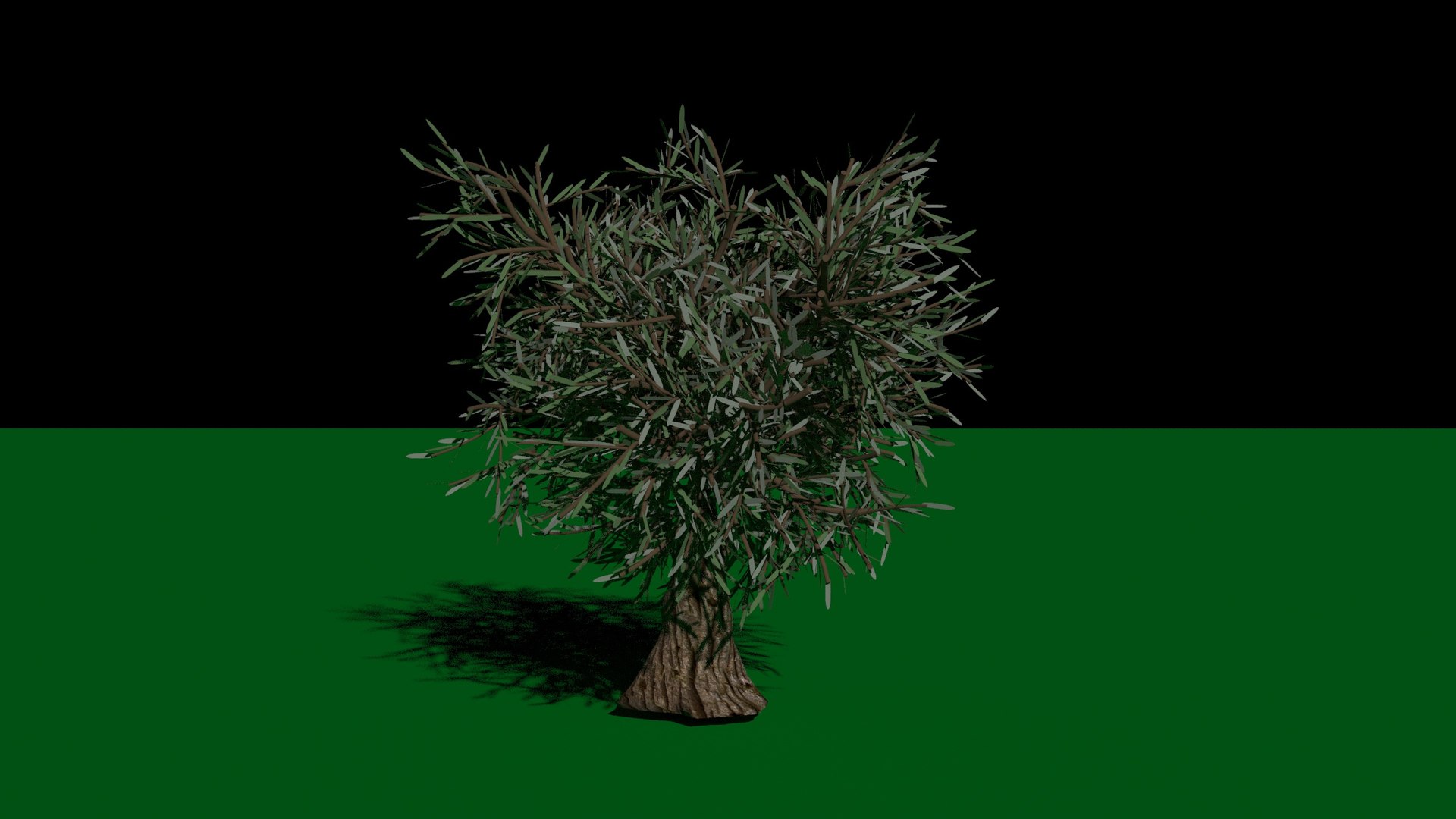 Olive Tree 3D Model - TurboSquid 2165201
