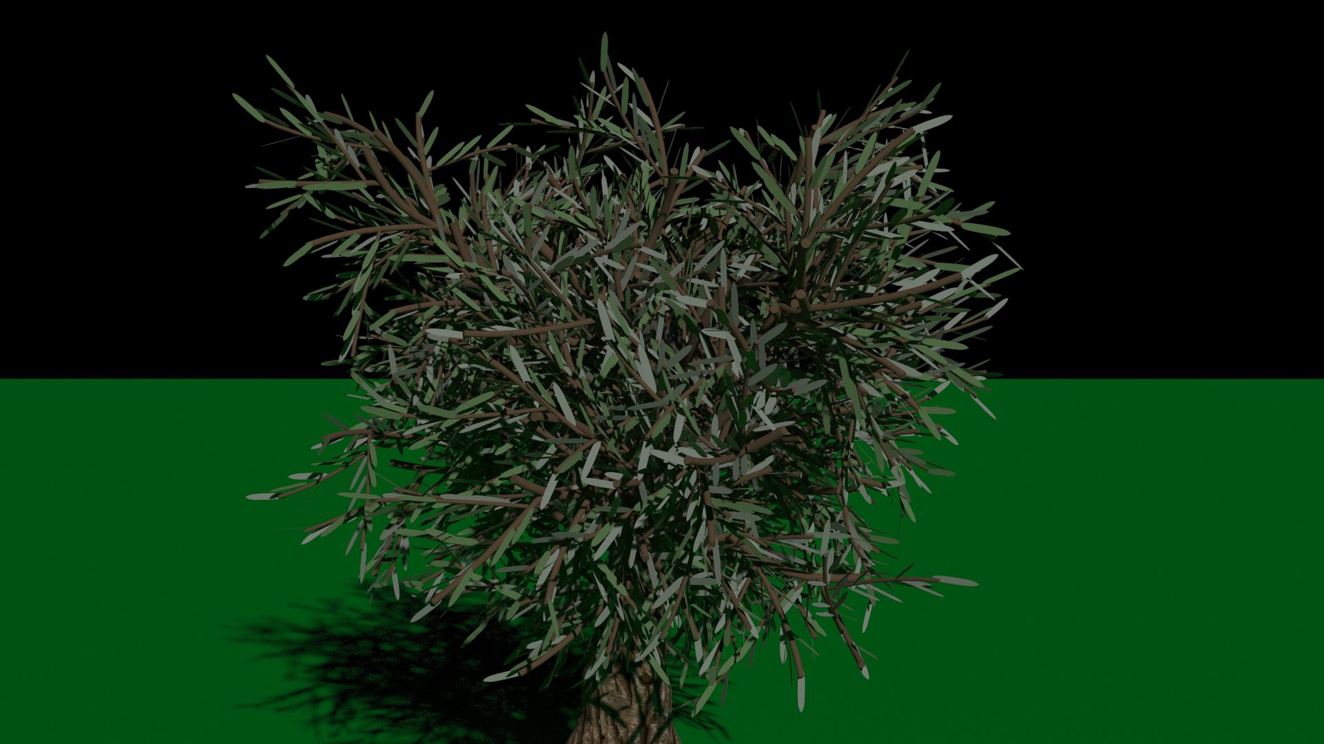 Olive Tree 3D Model - TurboSquid 2165201