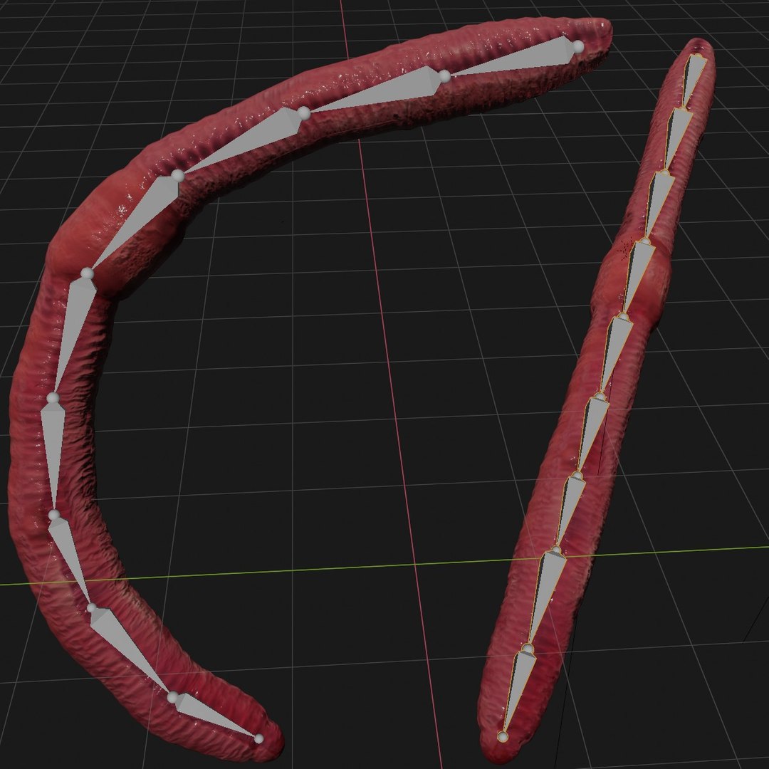 Earthworm Rigged 3D - TurboSquid 1656693