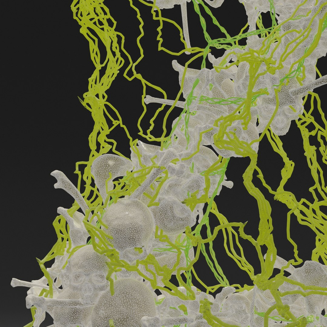 Letter Z Bones Skeleton 3D Model - TurboSquid 1546383