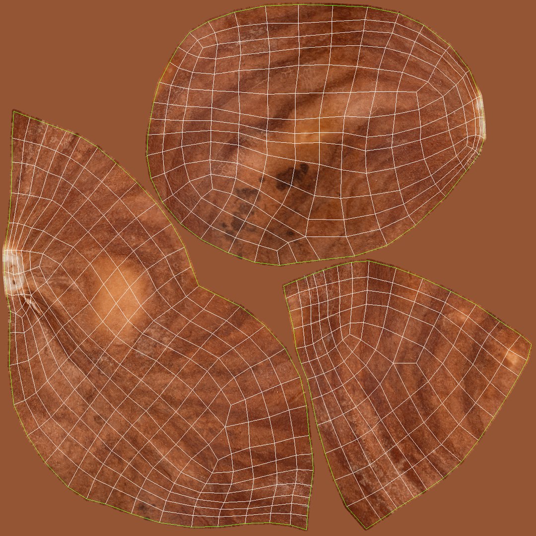 3D Model Realistic 3 Hazelnuts - TurboSquid 1353070