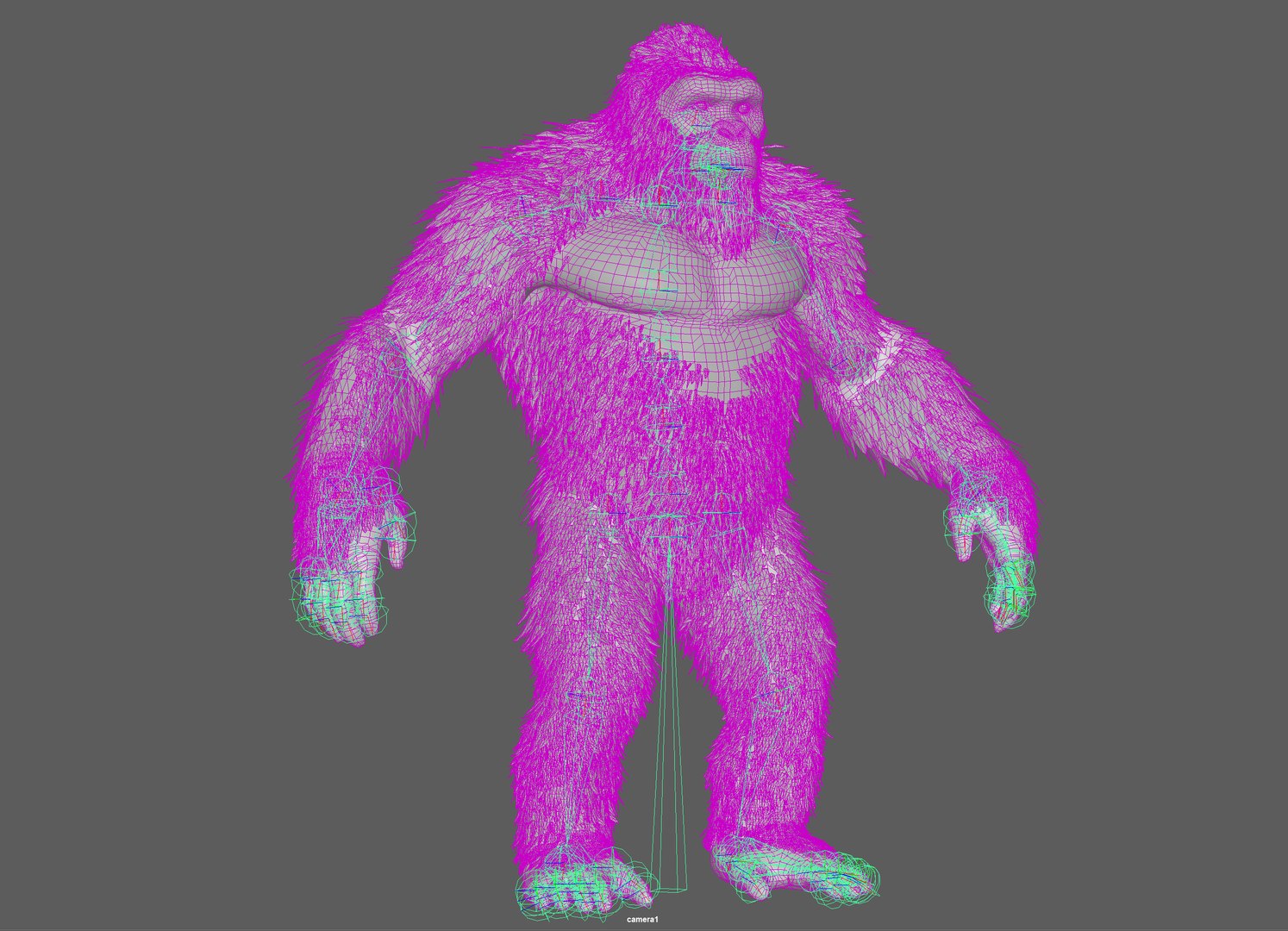 Kong Rig Model - Godzilla Movie 3D Model - TurboSquid 1831513