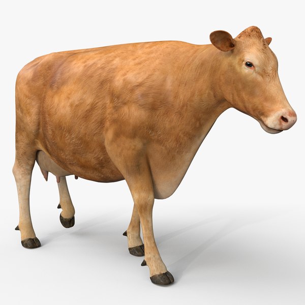 Cow 3D Models for Download | TurboSquid