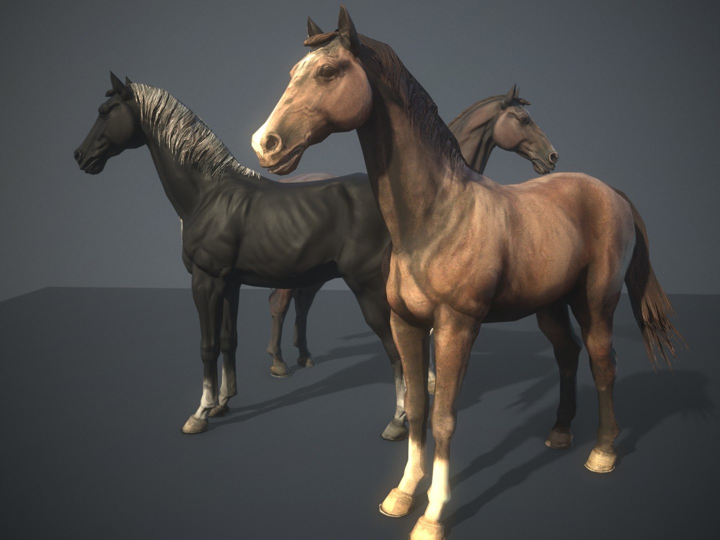 Animation Horse 3D Model - TurboSquid 1711516